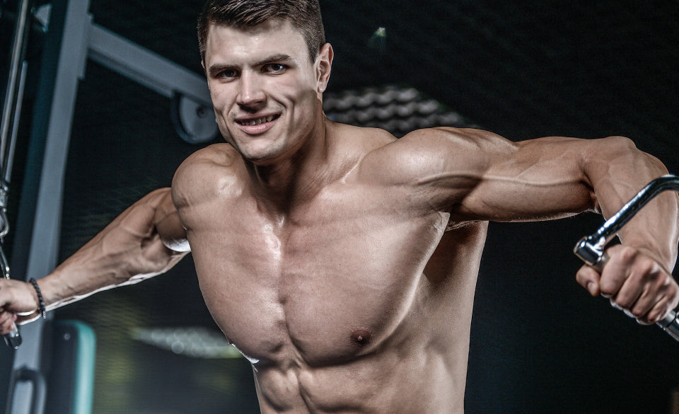 Swole Range Body & Muscle Fuel Delivered Balanced Plan Meal FoodBox NZ ...